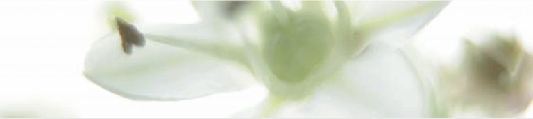 PhytoLab